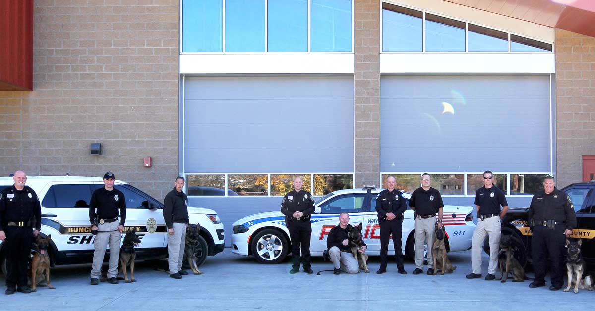 Buncombe County News :: Four New K9 Deputies Join Buncombe Sheriff's Office Buncombe County News :: Four New K9 Deputies Join Buncombe Sheriff's Office
